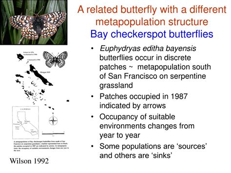 Ppt Spatial Ecology Metapopulations Powerpoint Presentation Free Download Id300460