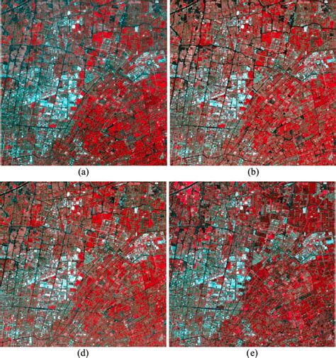 Sentinel 2 Msi And Landsat 8 Oli Data Used In The Experiments For Download Scientific Diagram