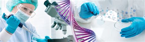 Genetic Testing Cost Genetic Testing India Cost Of Genetic Testing In India Genetic