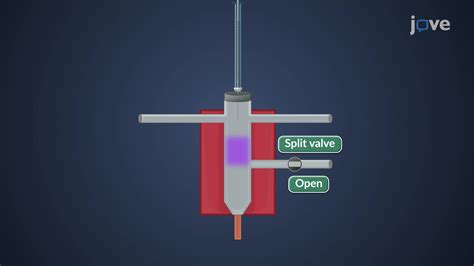 Video Gas Chromatography Sample Injection Systems