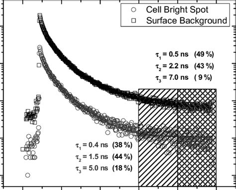 Photon Arrival Time Histogram For A Region Of Interest Located In One Download Scientific
