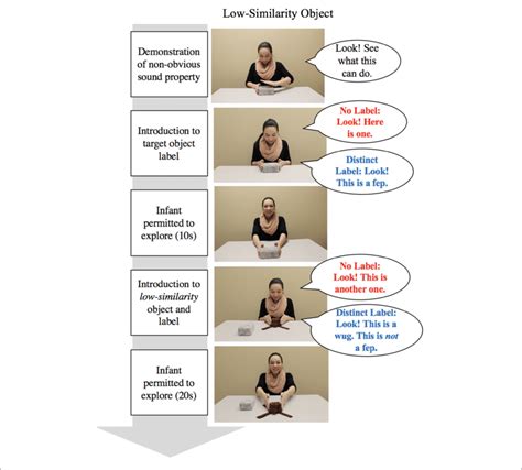 Overview Of Inductive Inference Test Procedure For Low Similarity Download Scientific Diagram
