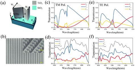 Polarization Insensitive Directional Diffractions By Download Scientific Diagram