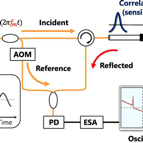 Experimental Setup Of The Standard Ocdr Aom Acousto Optic Modulator Download Scientific