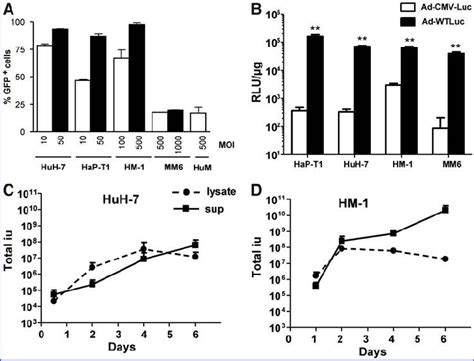Human And Hamster Monocytes Support Infection Replication And