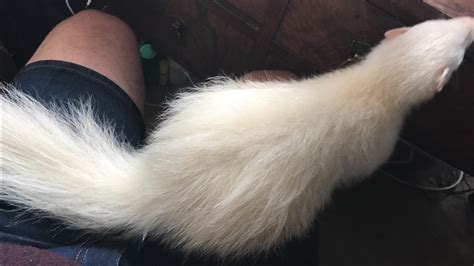 Setting Up Nginx And Php Fpm In Docker With Unix Sockets By Barney Hanlon Medium