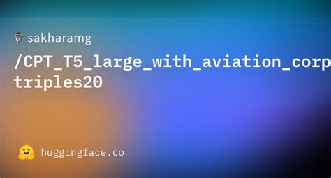 Sakharamg Cpt T5 Large With Aviation Corpus And Aviation Triples20