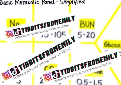 Lab Values Vital Signs And Basic Metabolic Panel BMP CHEM Etsy