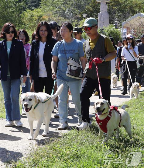 반려견과 함께 걸으며 명상해요 뉴스1