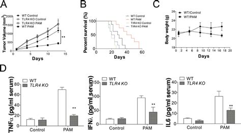 Oncogenic Activity Of Mc38 Cells Was Inhibited By Pam In Vivo A