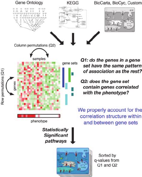 Outline Of The Methodology An Extensive Collection Of Pathway Download Scientific Diagram