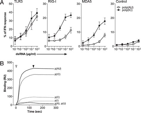 Figure 1 From This Information Is Current As Double Stranded Rna In Response To γ Production Of