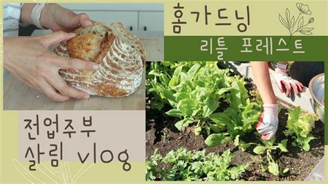 🇨🇦캐나다 전업주부의 홈가드닝 살림 브이로그ㅣ텃밭 가꾸기ㅣ자급자족 라이프ㅣ갓김치 담그는 법ㅣ캐나다 일상 브이로그ㅣ살림꿀팁ㅣ