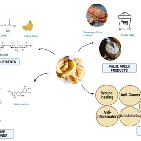 Pdf Antioxidant Potential And Bioactive Compounds In Banana Peel A Review