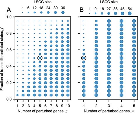 Cell Reprogramming Design By Transfer Learning Of Functional