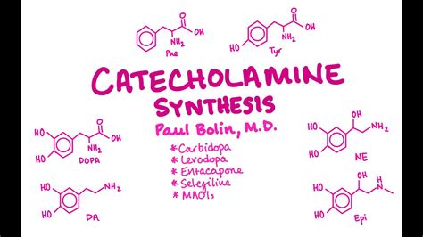 Catecholamine Synthesis Degradation Crash Medical Review Series Youtube