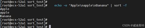 Linux命令：对文本文件的内容进行排序的工具sort详解linux Sort Csdn博客