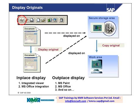 SAP Document Management System DMS PLM PDF