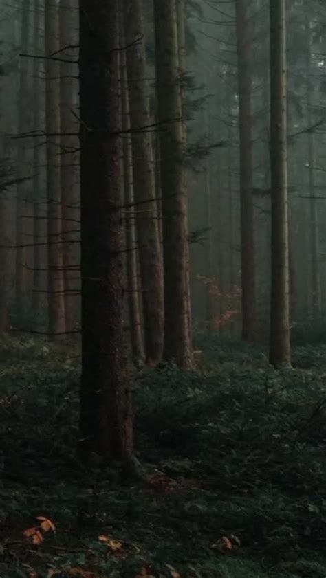 Сегодня мы с вами расчитаем по дате рождения эзотерические способности Этот расчёт покажет к