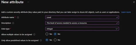 Azure Ad Custom Security Attributes Rnetwrix