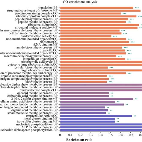 Go Enrichment Analyses Of Degs Bp Biological Process Cc Cellular
