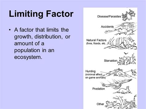 Limiting Factor Science