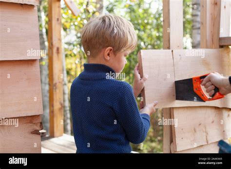 Babe Learning To Build Treehouse With Adult Stock Photo Alamy