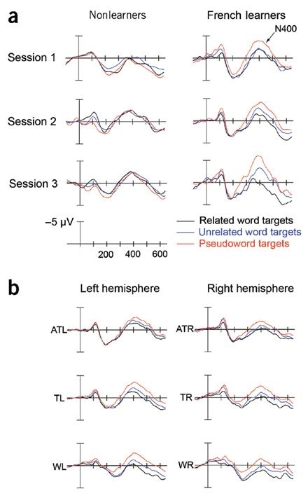 Event Related Potentials To Target Stimulia Erps To Word And Download Scientific Diagram
