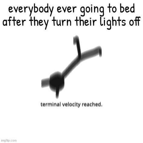 Terminal Velocity Reached Memes Imgflip