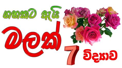 Grade 7 Science ශාක විවිධත්වය පළමු පාඩම 5 කොටස Youtube