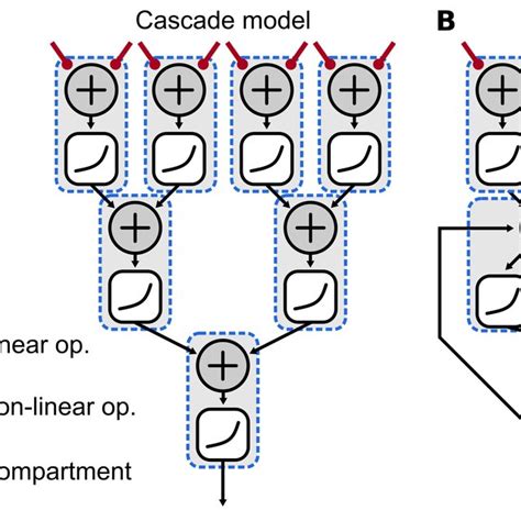 Illustration Of Cascade Models And Prc Models A Dendritic Download Scientific Diagram