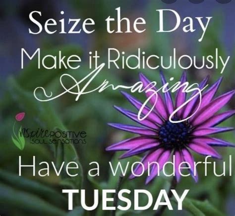 Terrific Tuesday Quotes