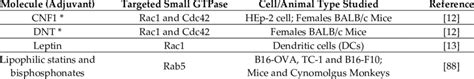 Adjuvant Molecules Targeted Small Gtpases Download Scientific Diagram