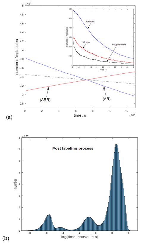Ijms Free Full Text Stochastic Reaction Diffusion Model Of The