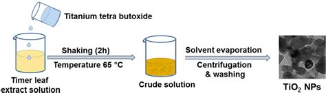 Figure 1 From Breast Cancer Inhibition By Biosynthesized Titanium Dioxide Nanoparticles Is
