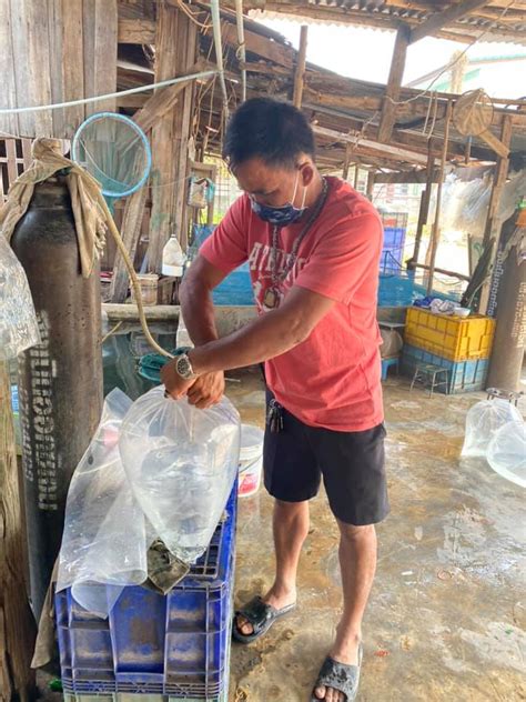 ถุงjh ใส เหนียว ดี บริษัท เจ เอช อุตสาหกรรม จำกัด