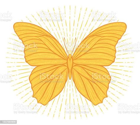 빛나는 흰색 절연 조명 효과와 양식된 민족 Boho 나비 장식 낙서 벡터 일러스트입니다 엽서 포스터 인쇄 인사말 카드 티셔츠 휴대 전화 케이스 디자인에 대 한 완벽 한