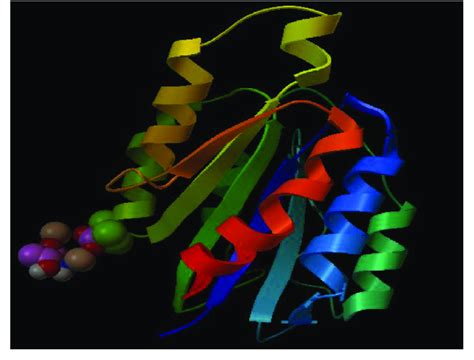 C Binding Of Lth Tcaag 2 With 1qcy Receptor Download Scientific