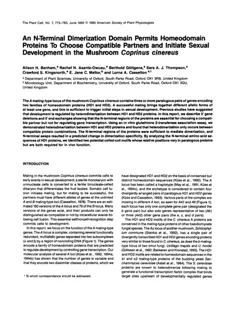 Pdf An N Terminal Dimerization Domain Permits Homeodomain Proteins To