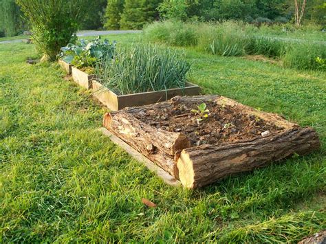 Diy Raised Bed Garden
