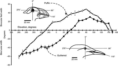 Mean Ae Se Angular Separation Of The Retinal Field Margins As A Download Scientific Diagram