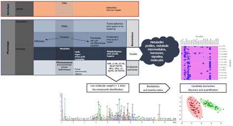 Metabolomics From Liver Chiromancy To Personalized Precision Medicine In Advanced Chronic Liver