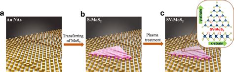 Schematic Representation Of A Gold Nanopillar Arrays On A Sisio2
