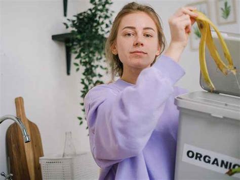 Indoor Composting Tips Benefits Methods And Diy Bins Gardenersite