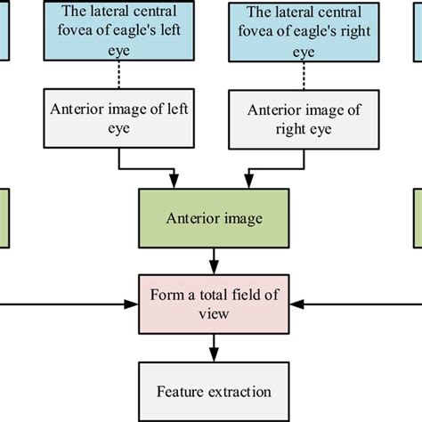 The Axial Displacement Transversal Displacement And Deflection Angle