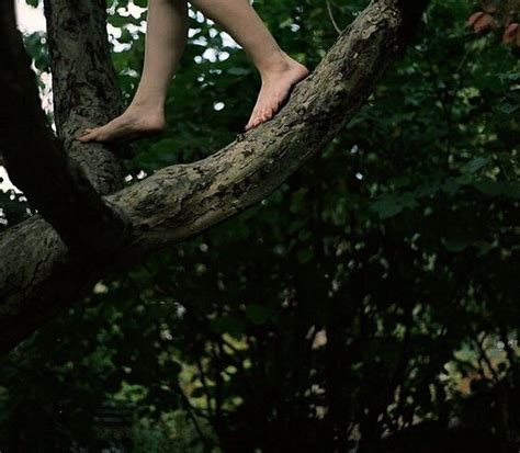 Erotica In A Tree 72 Photos Porn Ddeva