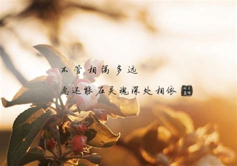 爱在心里默默守候图片 图库 五毛网