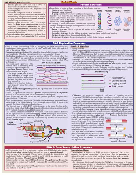 Molecular Biology Protein Structure Pdf