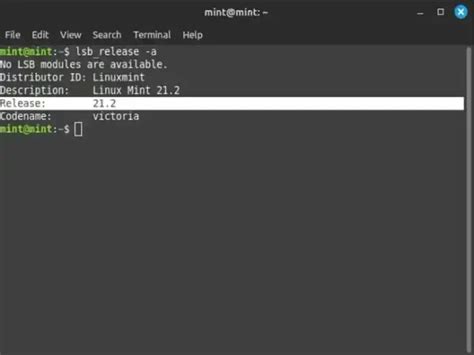 how to check linux version through terminal printable forms free online