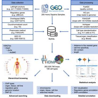 Overview Of Data Collection Data Processing And Annotation And
